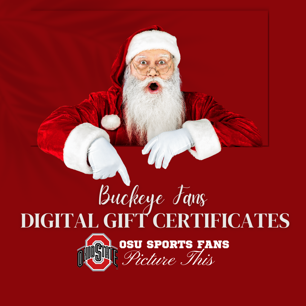 Buckeye Christmas Ornaments + Holiday Decor – OSU Sports Fans