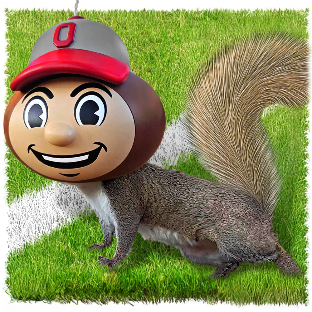 BRUTUS BUCKEYE SQUIRREL FEEDER – GET NUTS, GO BUCKS! – OSU Sports Fans